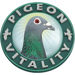 Shop Energy Boosters for Racing Pigeons: Boost Speed and Endurance ...