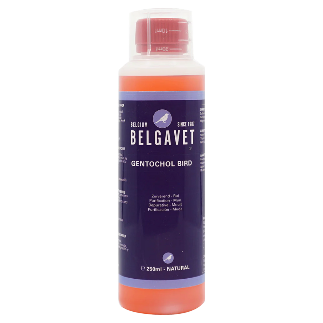 BelgaVet Gentochol Bird — Global Pigeon Supplies Inc.