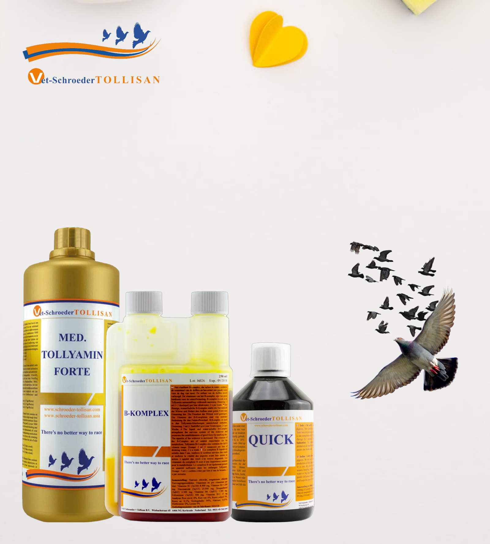 Enhance Pigeon Health - Quality Pigeon Feed, Accessories & Treatments ...