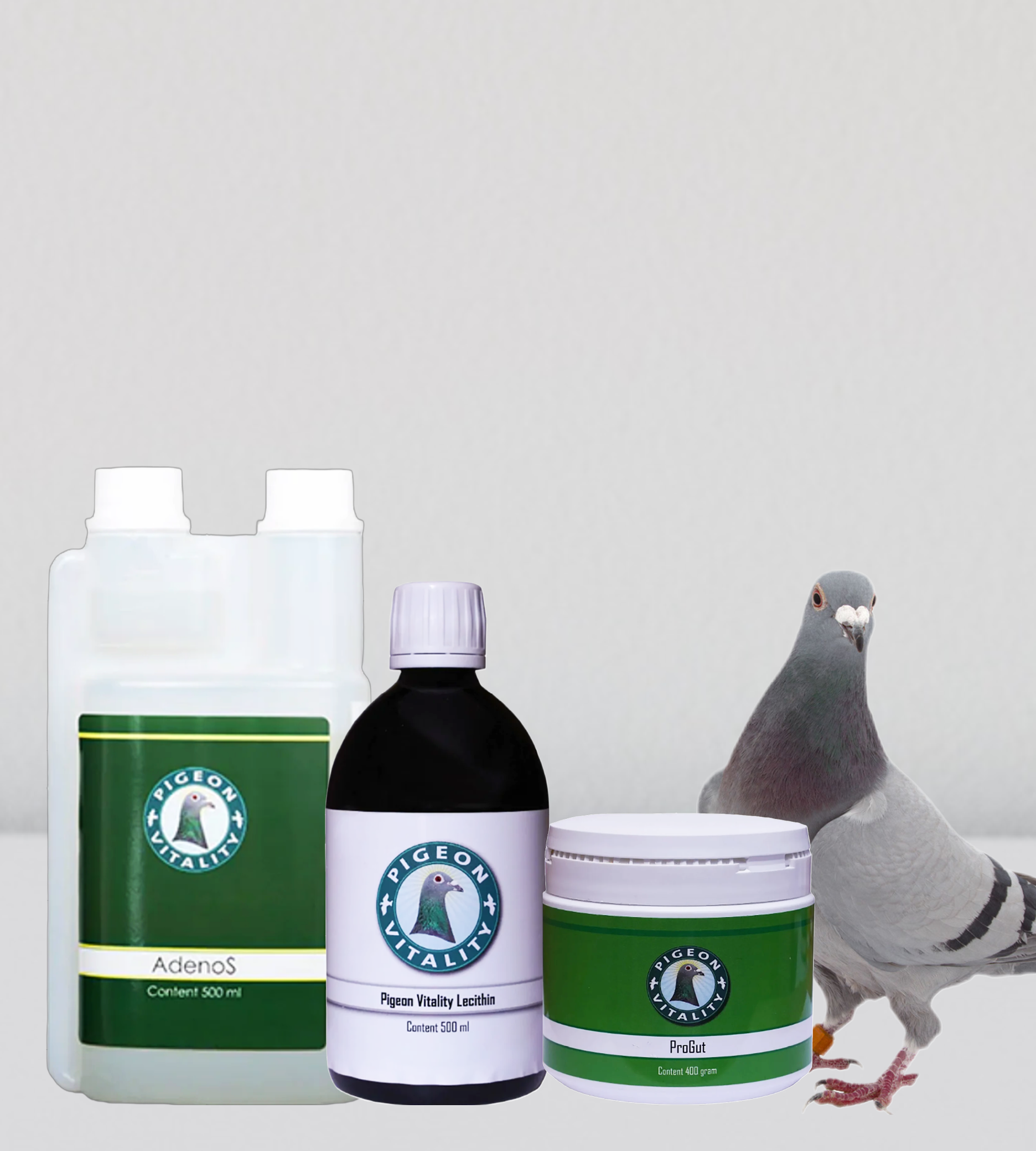 Enhance Pigeon Health - Quality Pigeon Feed, Accessories & Treatments ...