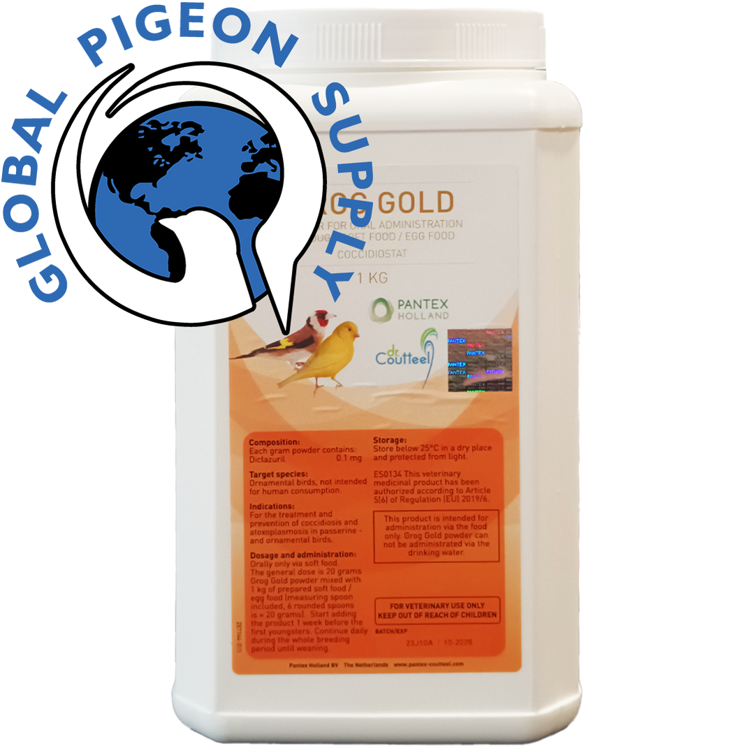 Pantex Grog Gold 1 kg — Global Pigeon Supplies Inc.