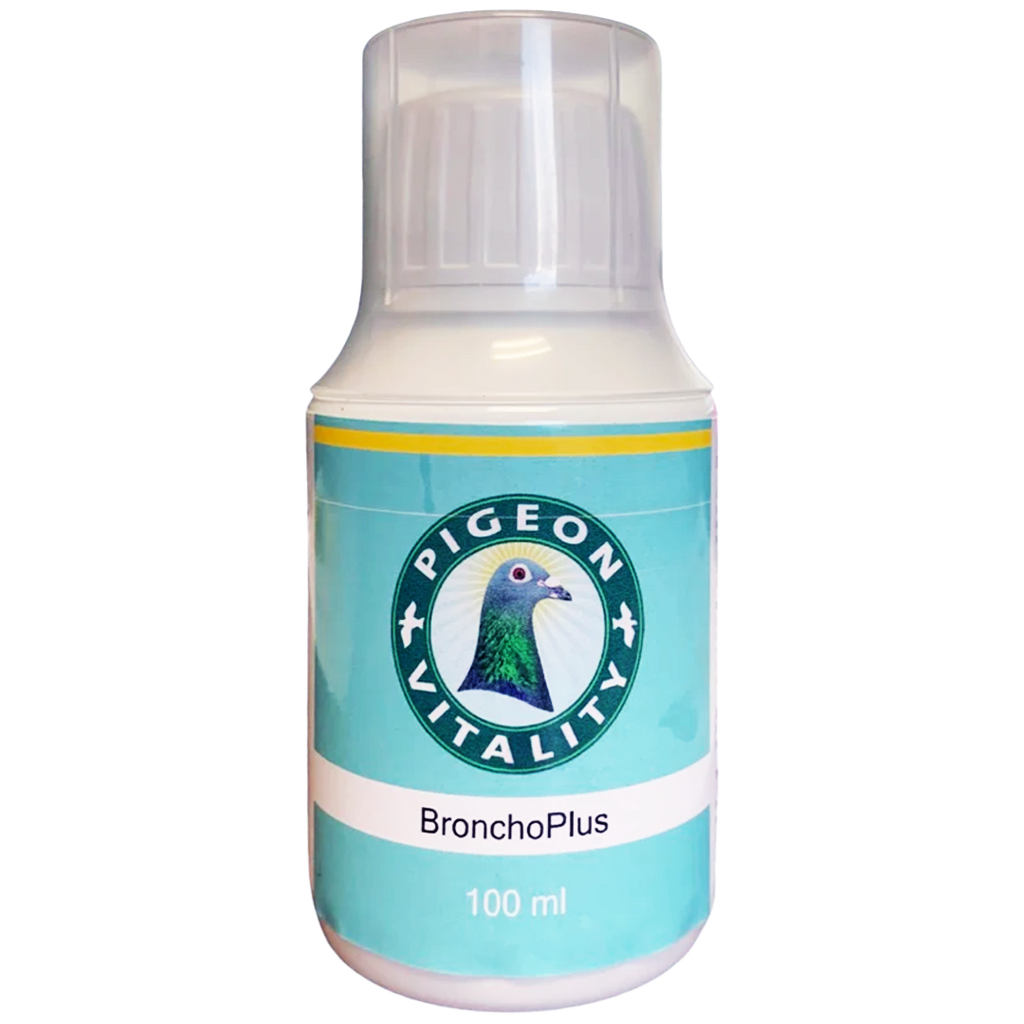 Combat Bacterial Infections: Pigeon Treatment Solutions — Global Pigeon ...