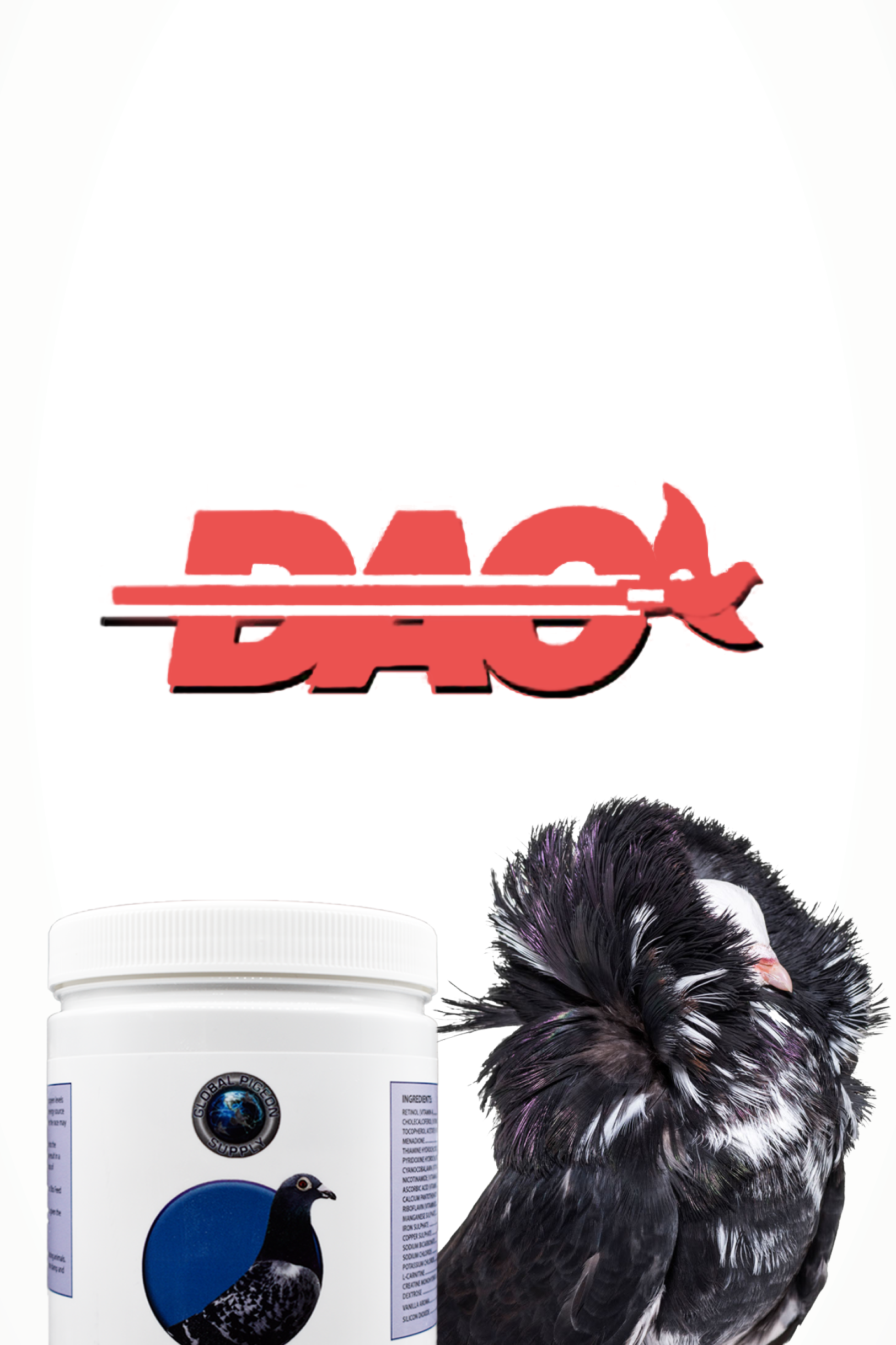 Enhance Pigeon Health - Quality Pigeon Feed, Accessories & Treatments ...