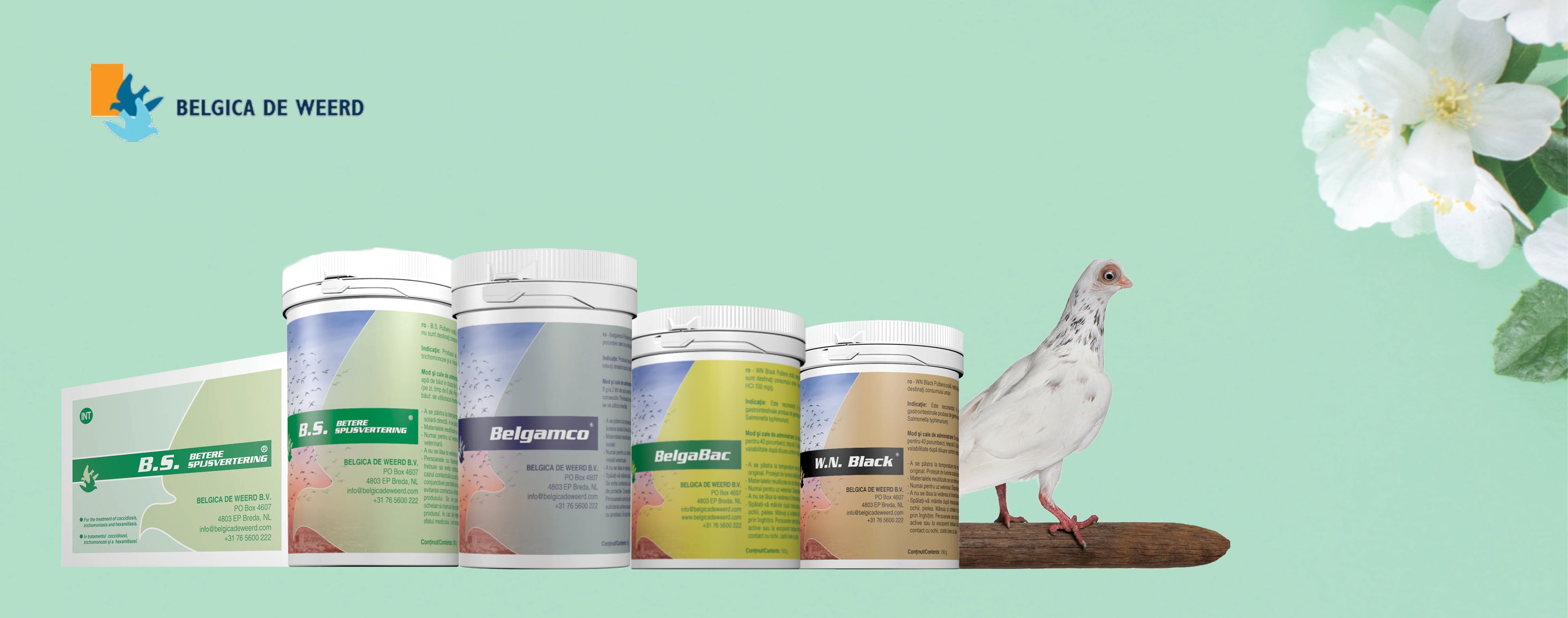 Enhance Pigeon Health - Quality Pigeon Feed, Accessories & Treatments ...