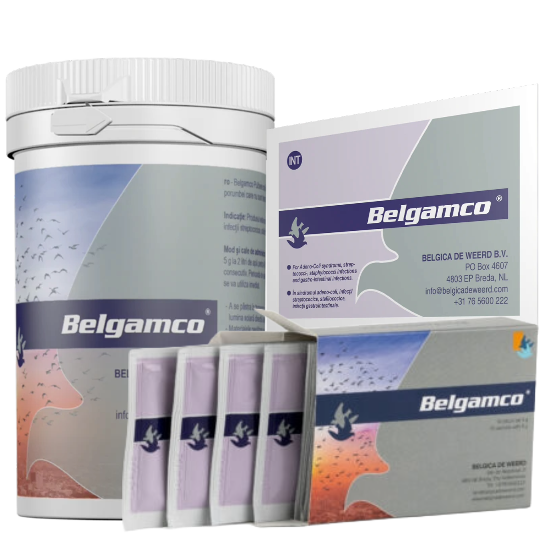 Belgica De Weerd Belgamco — Global Pigeon Supplies Inc.