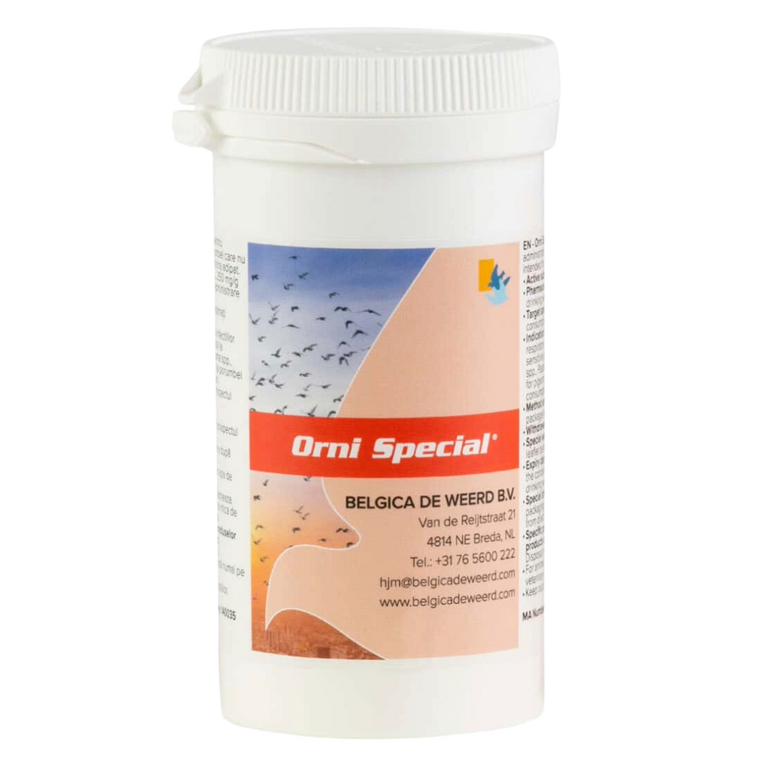 Belgica De Weerd Orni Special — Global Pigeon Supplies Inc.