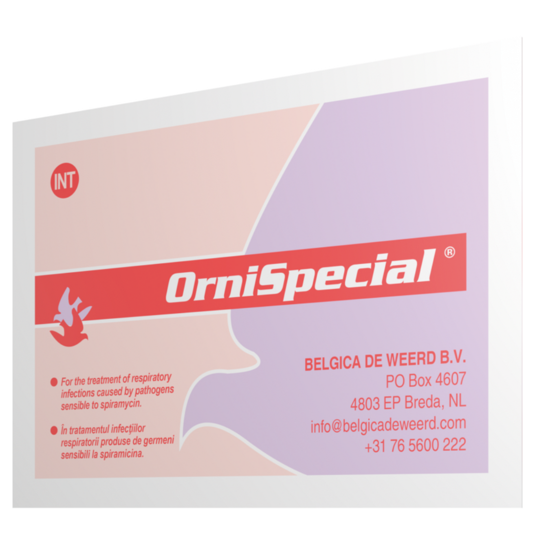 Belgica De Weerd Orni Special — Global Pigeon Supplies Inc.