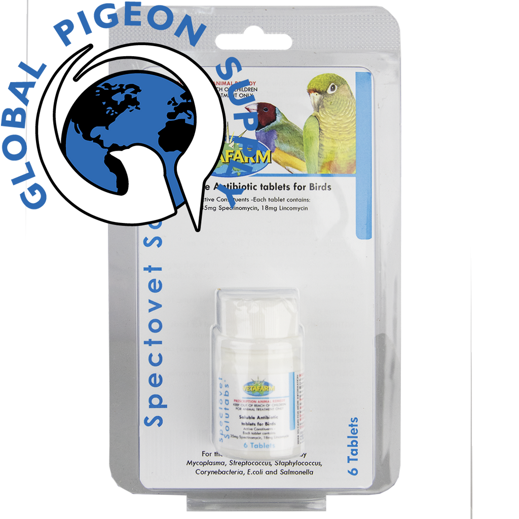 E-Coli — Global Pigeon Supplies Inc.