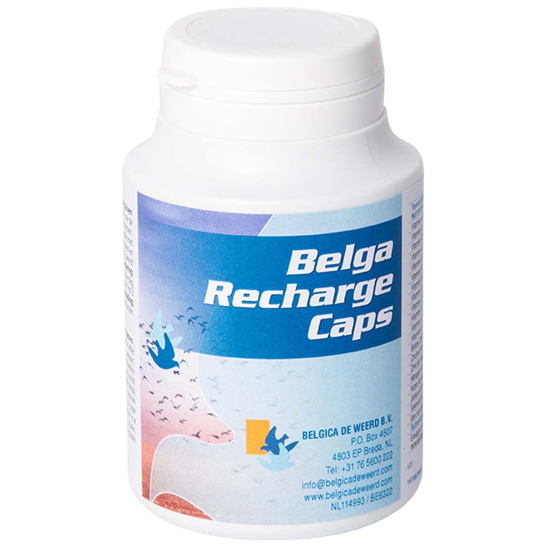 Belgica De Weerd Belga Recharge Caps 100 Tablets — Global Pigeon ...