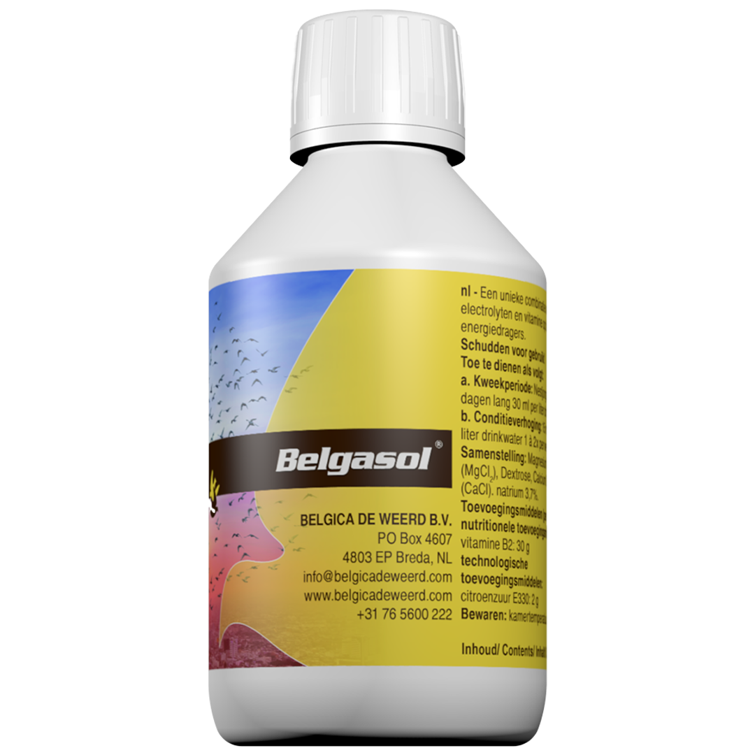 Belgica De Weerd Belgasol — Global Pigeon Supplies Inc.