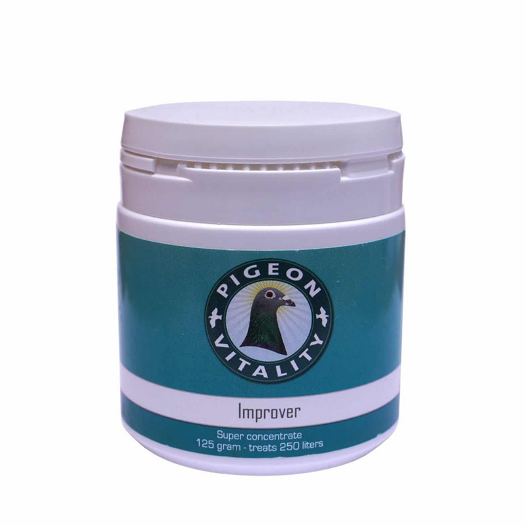 Combat Bacterial Infections: Pigeon Treatment Solutions — Global Pigeon ...