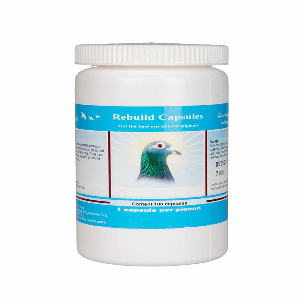 Shop Energy Boosters for Racing Pigeons: Boost Speed and Endurance ...
