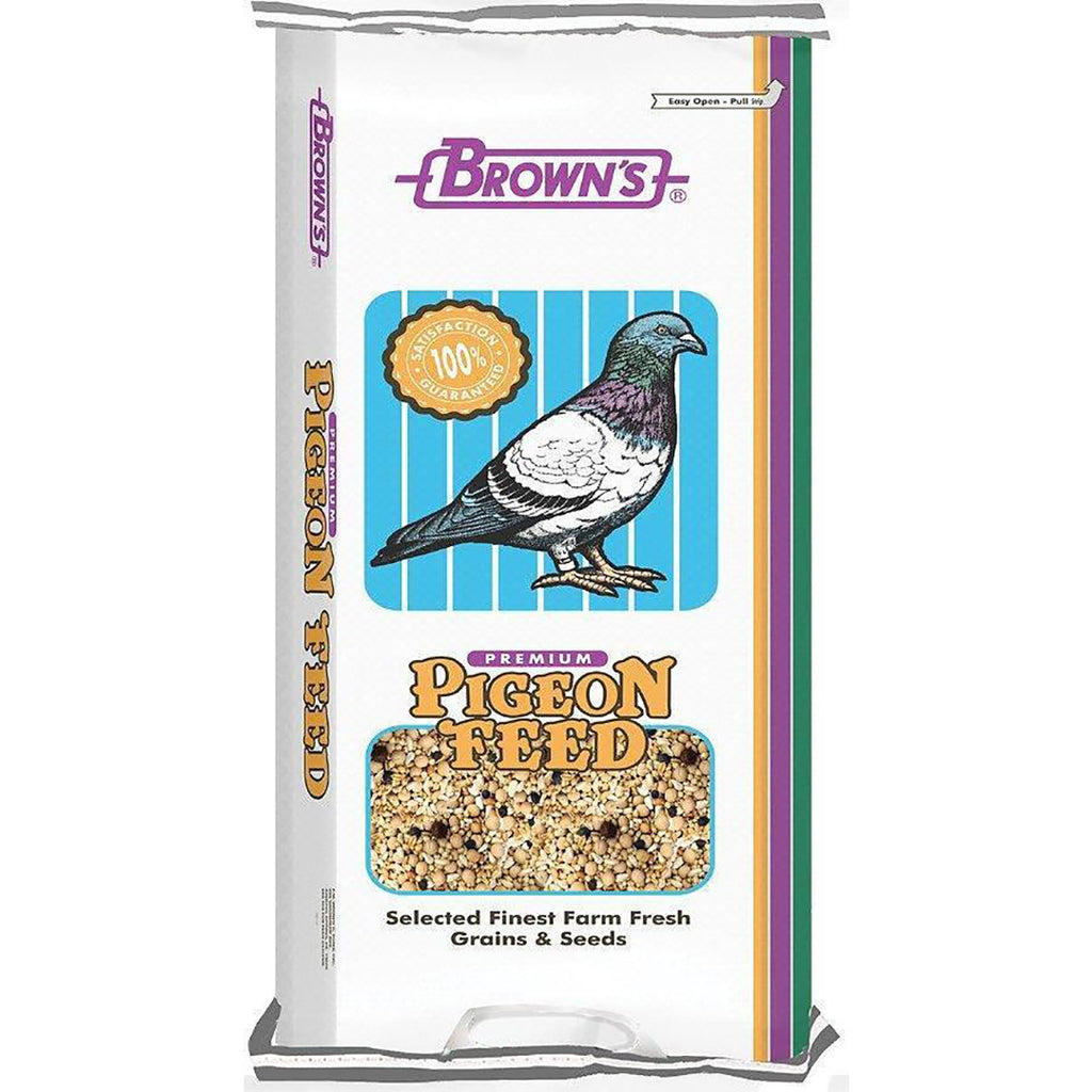 Quality Pigeon Accessories: Feeders for Convenient Feeding — Global ...