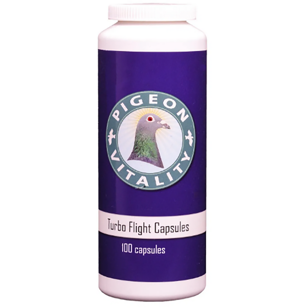 Shop Energy Boosters for Racing Pigeons: Boost Speed and Endurance ...